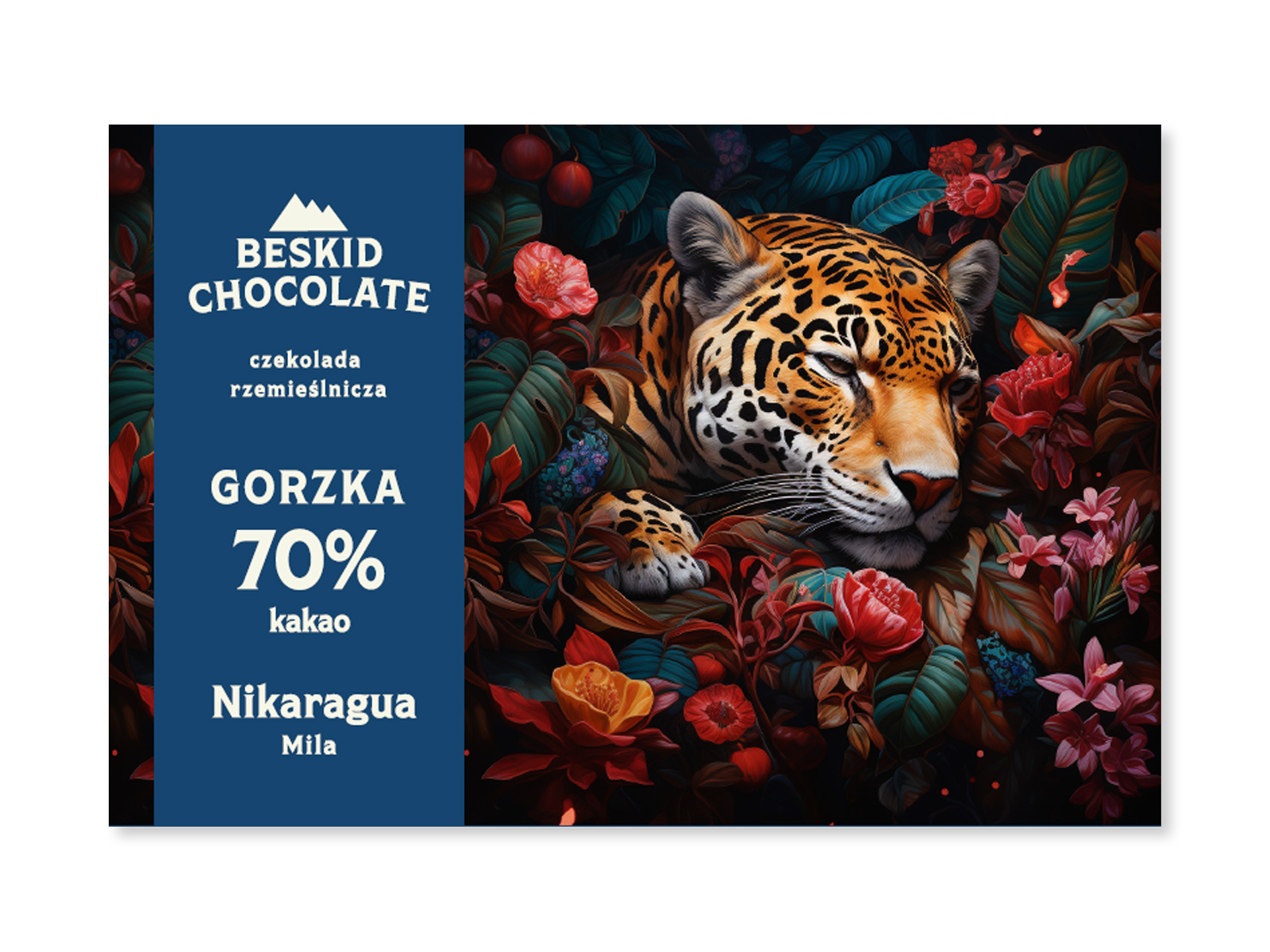 Dark chocolate Nicaragua Mila 70% - Beskid Chocolate EU